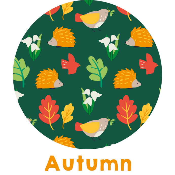 Colourful Organic Cotton Baby & Kids Clothes | Toby Tiger